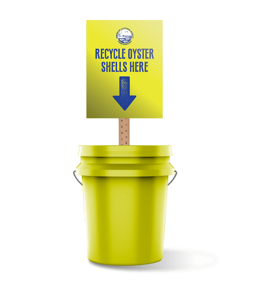 American Littoral Society - Iris Creative