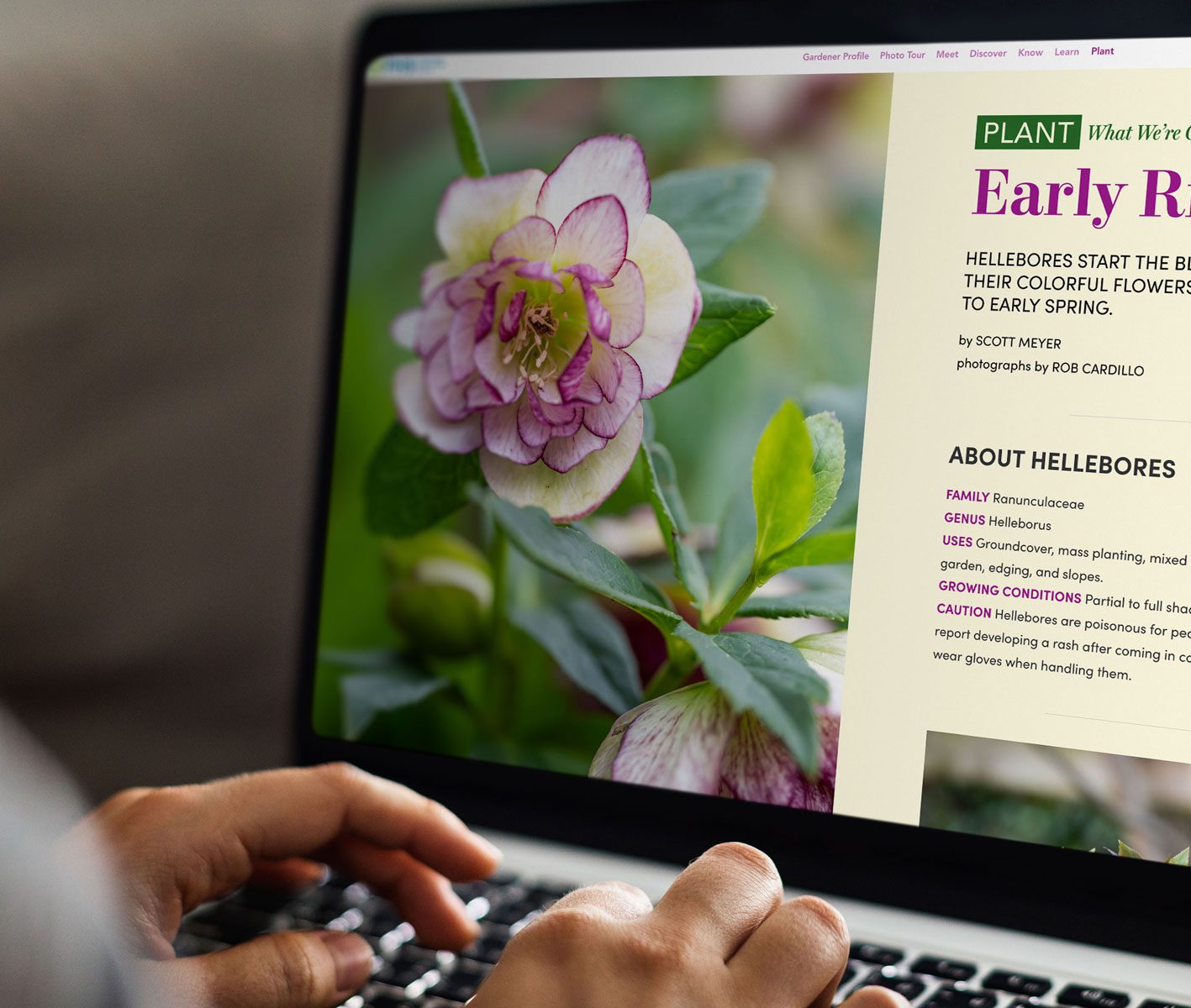 A New Path for Publications - Iris Creative