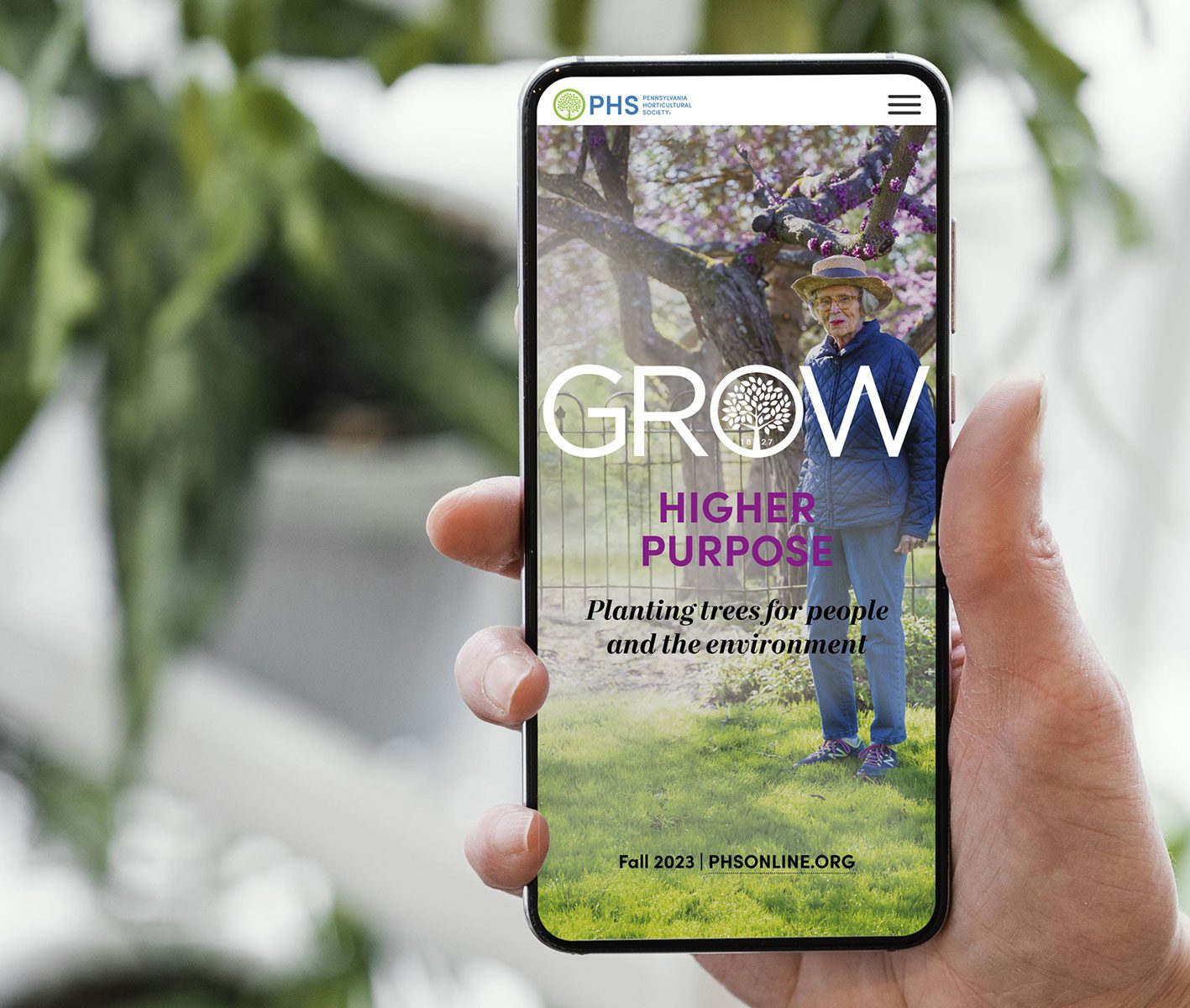 Creating an Immersive Experience - Iris Creative