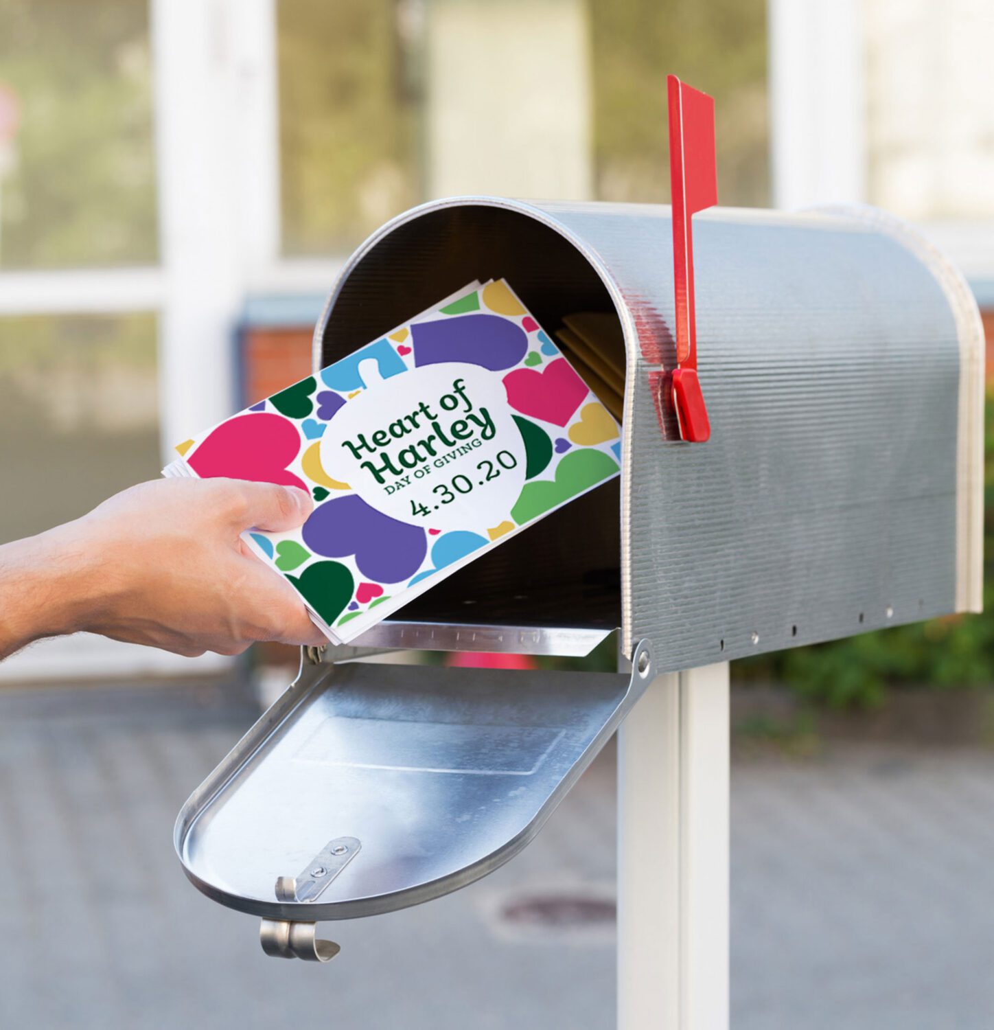 Harley School - Iris Creative