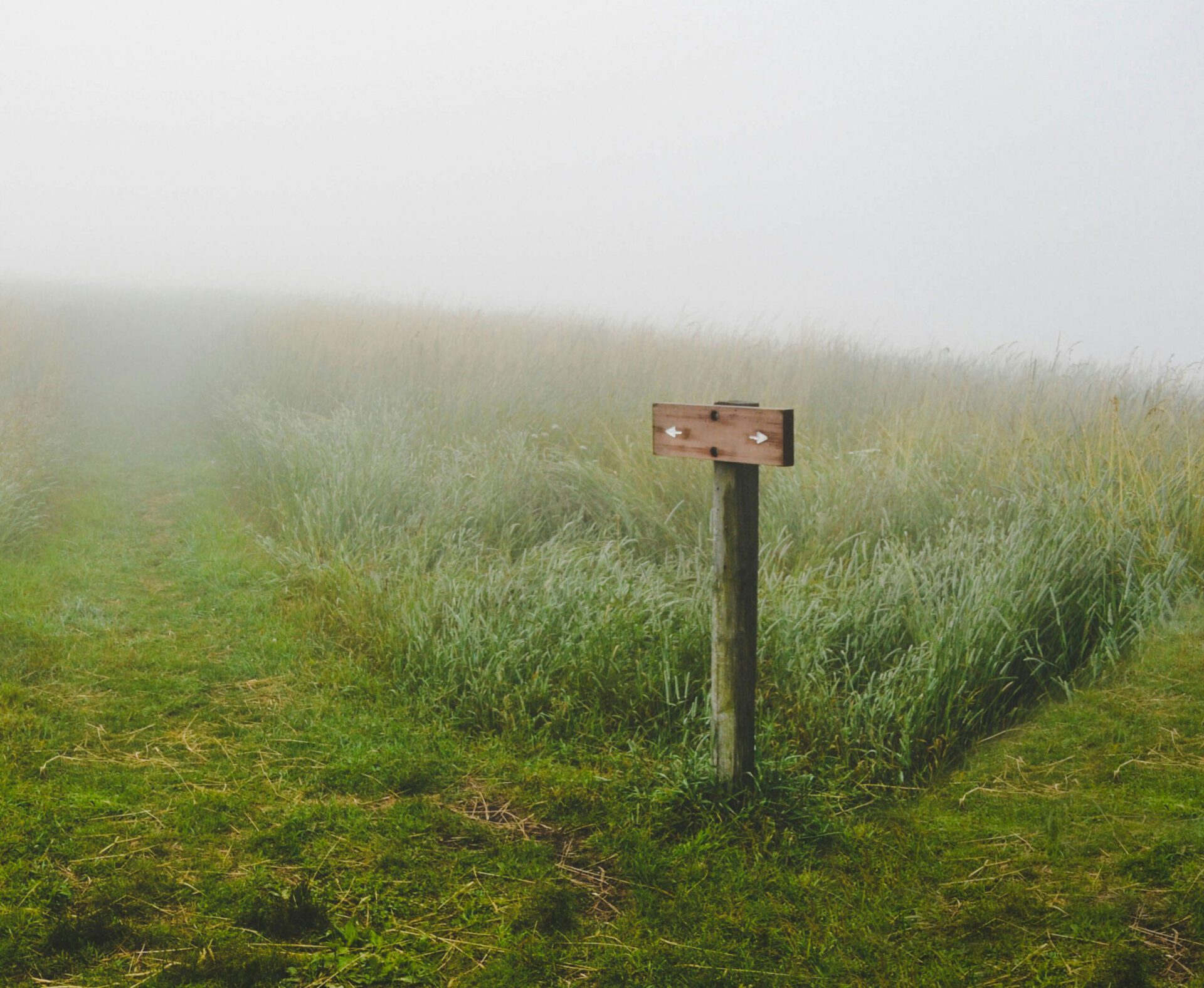 Hitting a Strategic Crossroads - Iris Creative