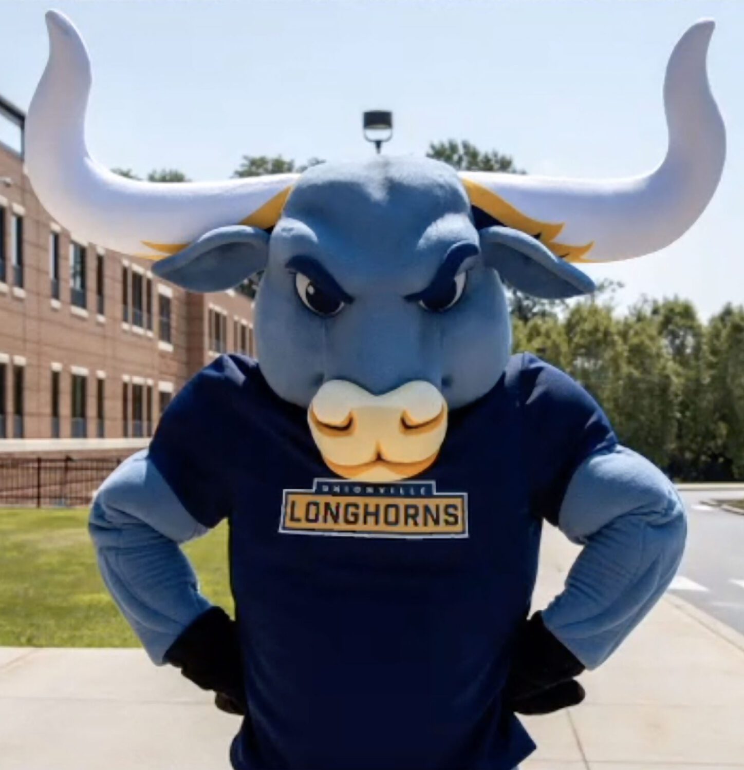 Unionville High School - Iris Creative